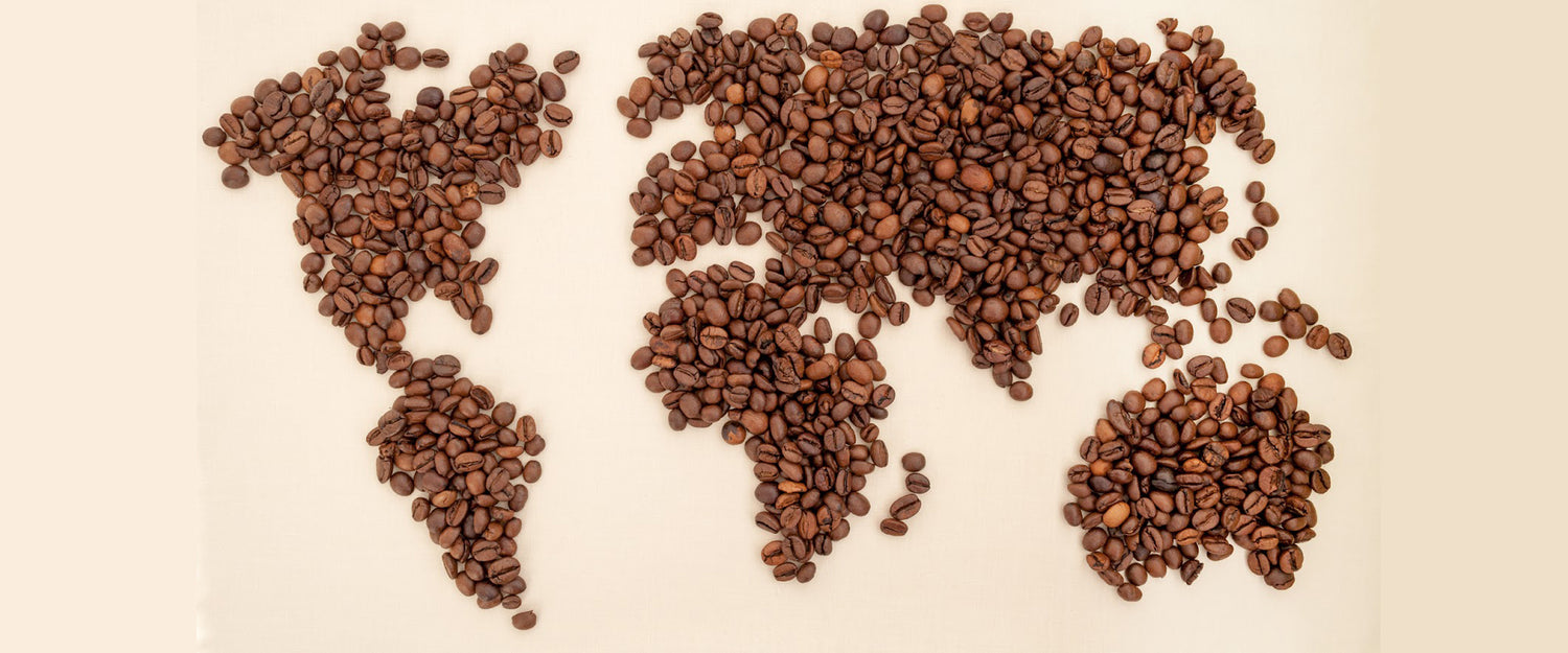 The Geographic Seasonality of Coffee – New Mexico Piñon Coffee